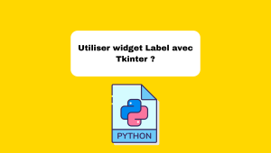 6.3 Utiliser le Widget Label avec Tkinter – CodeSpace